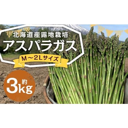 ふるさと納税 野菜類 アスパラガス 北海道 京極町 北海道産 露地栽培 M〜2L 約3kg 2026年5月下旬〜6月上旬迄発送予定 グリーンアスパラガス アス… : ふるさとチョイス - 通販 ...