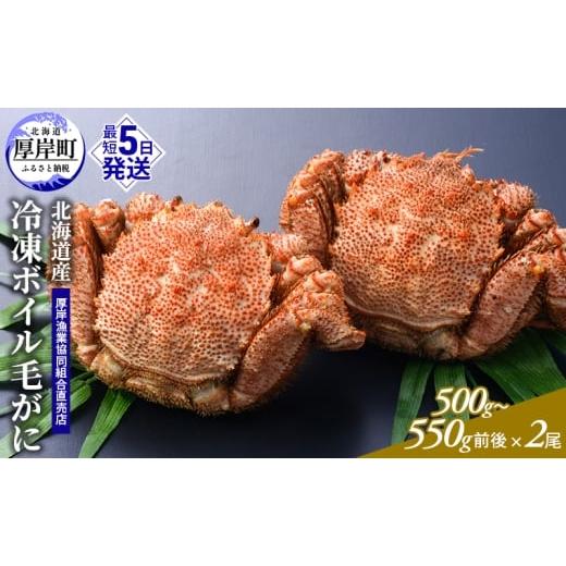 ふるさと納税 カニ 毛ガニ 北海道 厚岸町 訳あり 3D冷凍 北海道産冷凍ボイル毛がに 500g〜550g前後×2尾 毛カニ 蟹 かに No.5863-1387 : ふるさとチョイス - 通販 ...