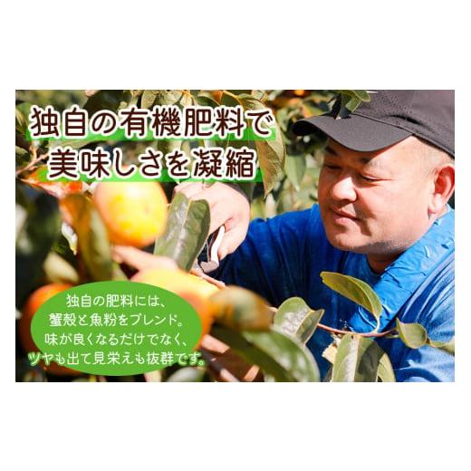 ふるさと納税 果物類 柿 岐阜県 本巣市 先行予約／令和8年産 《柿の王様》福井農園の富有柿 ご家庭用 3kg (10〜12個入) 2L、3L、4Lサイズ 11月〜12月に発送予 ...
