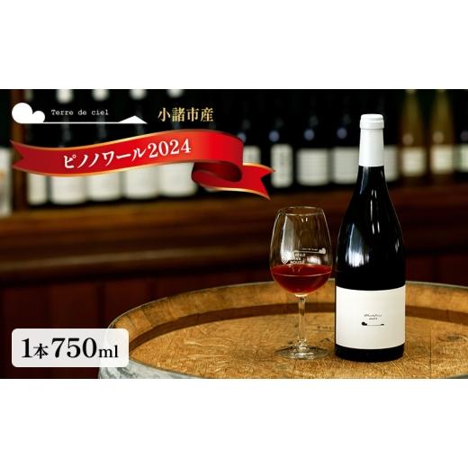 ふるさと納税 ワイン 赤ワイン 長野県 小諸市 ピノノワール 2024 750ml 赤ワイン 野生酵母 お酒 酒 アルコール 小諸 ギフト プレゼント No.591… : ふるさとチョイス ...