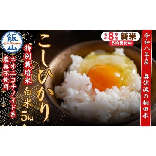 ふるさと納税 米 コシヒカリ 長野県 飯山市 令和8年産 新米 特別栽培米 こしひかり 精米 5kg 『奥信濃の棚田米 実の里』｜ お米 コメ ...