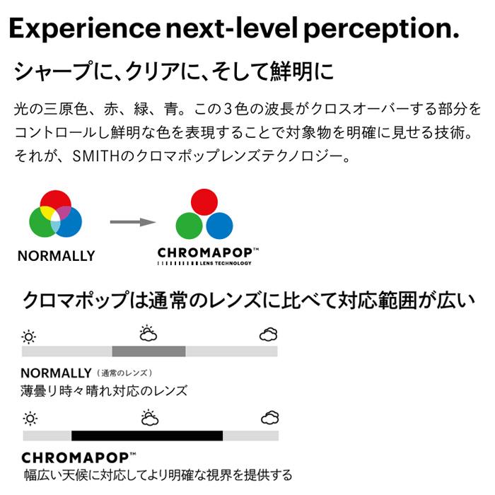 SMITH スミス ゴーグル SQUAD XL / FATIGUE GREEN CP PRO PHOTOCHROMIC BLUE MIRROR 25-26 モデル : FUSO SKI ...