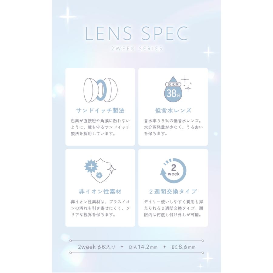 RICH STANDARD 【8セット】新色発売今だけポイント10倍 激安2weekカラコン SNS話題リッチスタンダード ツーウィークシリーズ 2week (1箱6枚入) 【送料無料 ...