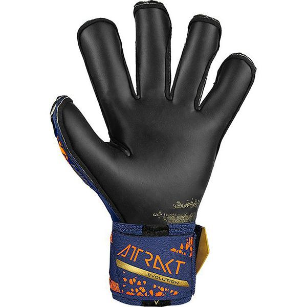 reusch ロイシュ アトラクト ゴールドX エボリューション 5470964-4411 サッカー キーパーグローブ GKグローブ ゴールキーパー プレミアムブルー : フタバスポーツ ...