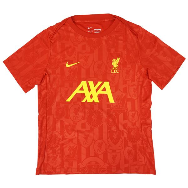 NIKE リバプール LFC 2024-25 アカデミー プロ Dri-FIT プレマッチ ショートスリーブ トップ FN9653-688 ...