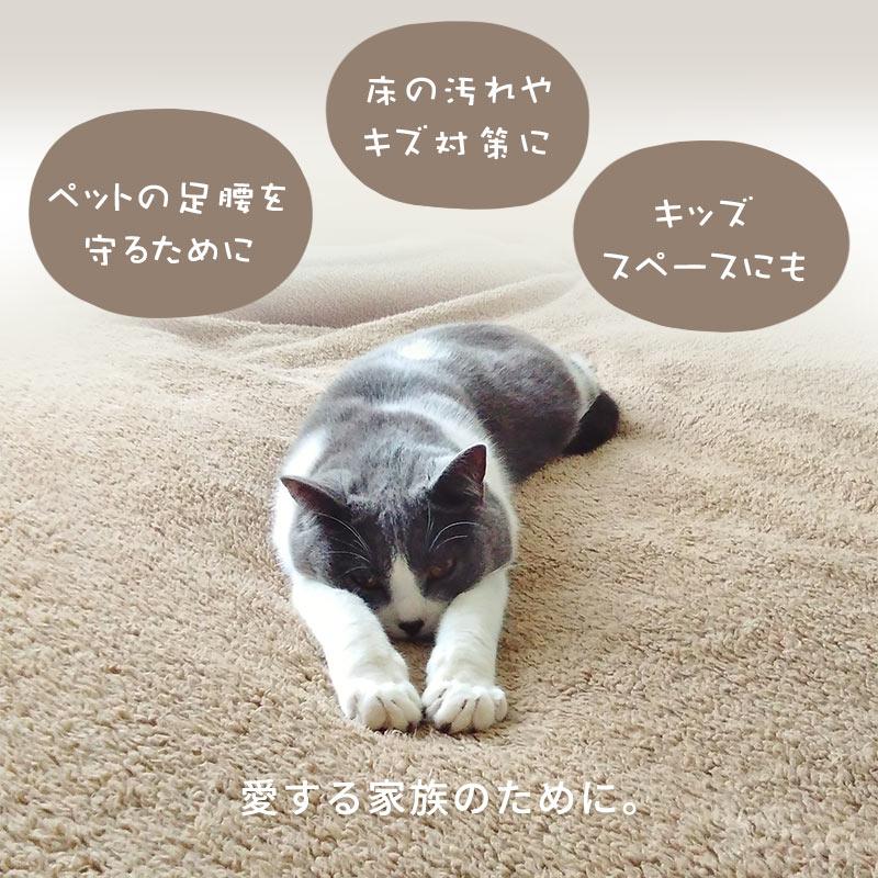 カーペット 絨毯 本間 6畳 286×382cm 日本製 ペット対応 対策 じゅうたん 抗菌 フリーカット タマズライフ 小型犬 猫 : こだわり安眠館 ヤフーショッピング店 - 通販 ...