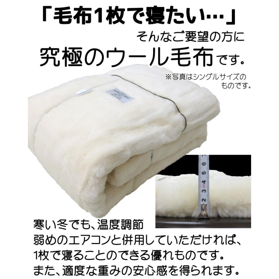 ワケあり在庫処分品 毛布カバー2枚プレゼント 京都西川 最高級 ワケあり在庫処分品 毛布カバー2枚プレゼント 京都西川 最高級
