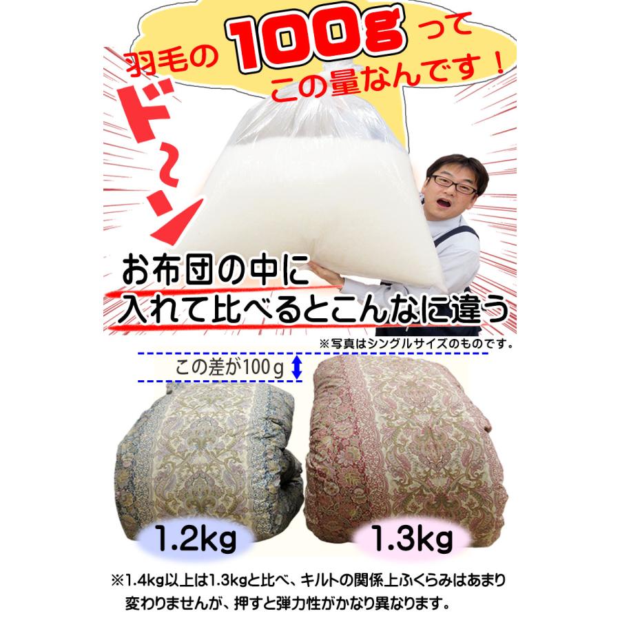 【立体キルト】 1.6kg 甲州産【5シリーズ立体・冬SD】セミダブル ハンガリー産ホワイトマザーグース93％ 羽毛掛布団 80サテン/綿100％/超長綿 : ふとん伊月 徳島 三軒屋店 ...