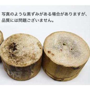 バードカバブ チキート :cp-011:ふわふわインコYahoo!ショップ - 通販 - Yahoo!ショッピング