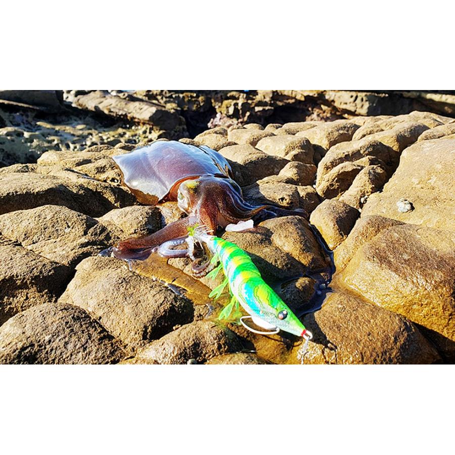 DUEL デュエル イージーQ キャストプラス 3号 #19.SBIE スーパーブルー夜光イソスジ エギ パタパタ : FWS-アルファ ...