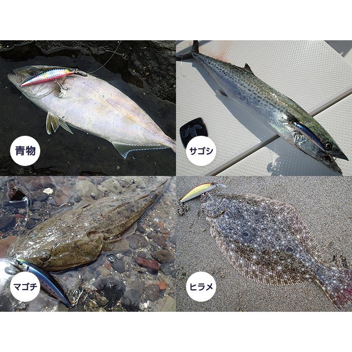 (新製品) デュエル ハードコア ヘビーミノー S 110mm 37g 20.TM クリアー シンキング :F1190-TM:FWS-アルファ ...