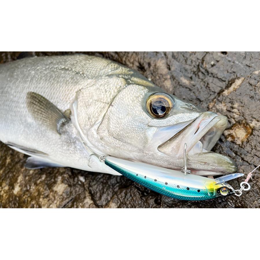 DUEL デュエル アイルマグネット TG ミノー 105F #2.HCHM チャートヘッドボラ : FWS-アルファ - 通販 - Yahoo!ショッピング