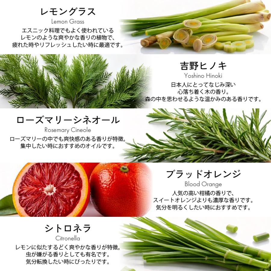 エッセンシャルオイル 5ml×5本 セット アロマオイル 精油 100