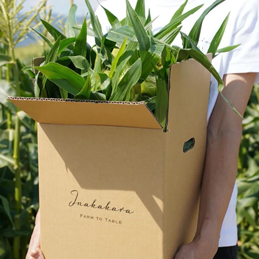 Inakakara Farm to Table 山梨県 甲府市特産 きみひめヤングコーン 4kg 約35〜40本 5月中旬〜7月上旬発送 指定日不可 沖縄・離島お届け不可 送料無料 産地直送 ...