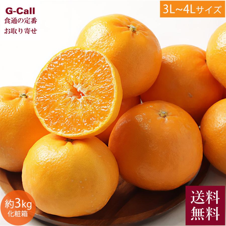 佐賀県産 ブランド柑橘 にじゅうまる 3kg 3L~4L 7玉〜12玉 化粧箱 3月上旬〜4月上旬頃発送 大阪市中央市場 万果 送料無料 みかん 柑橘 蜜柑 果物 くだもの : G-Call ...