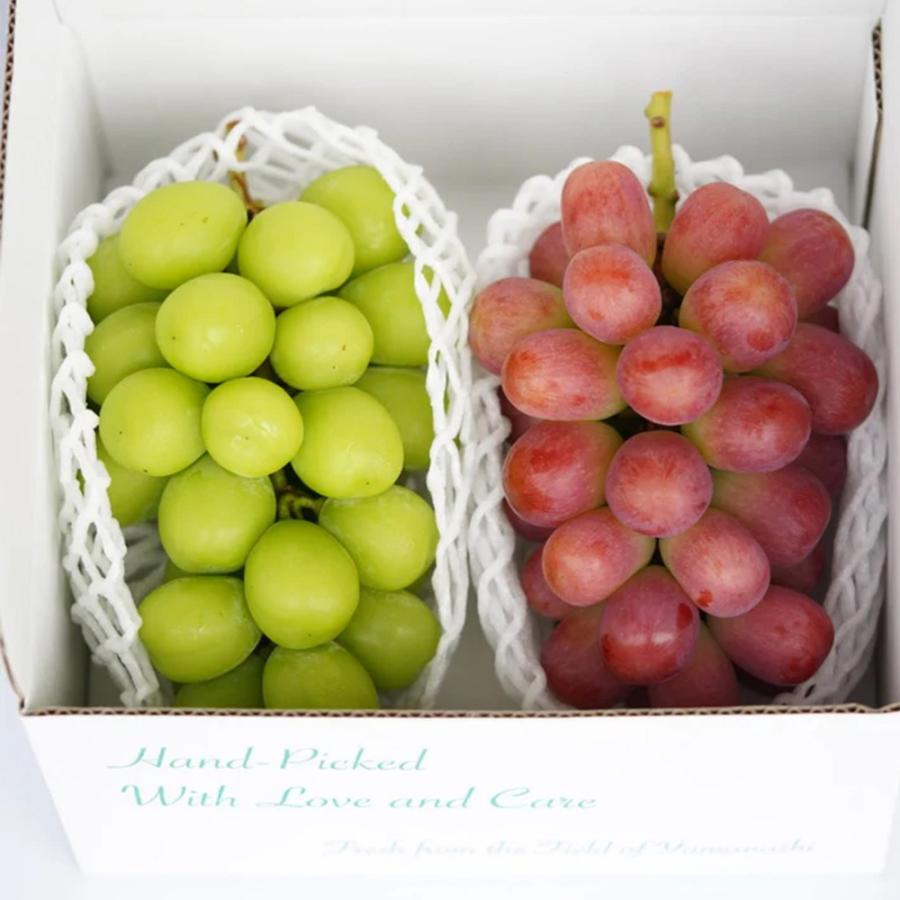 Inakakara 丸山農家 サニードルチェとシャインマスカット 詰め合わせ 2房 1.1kg以上 送料無料 秀品 葡萄 ブドウ ぶどう フルーツ 旬 果物 生産者直送 イナカカラ : G ...