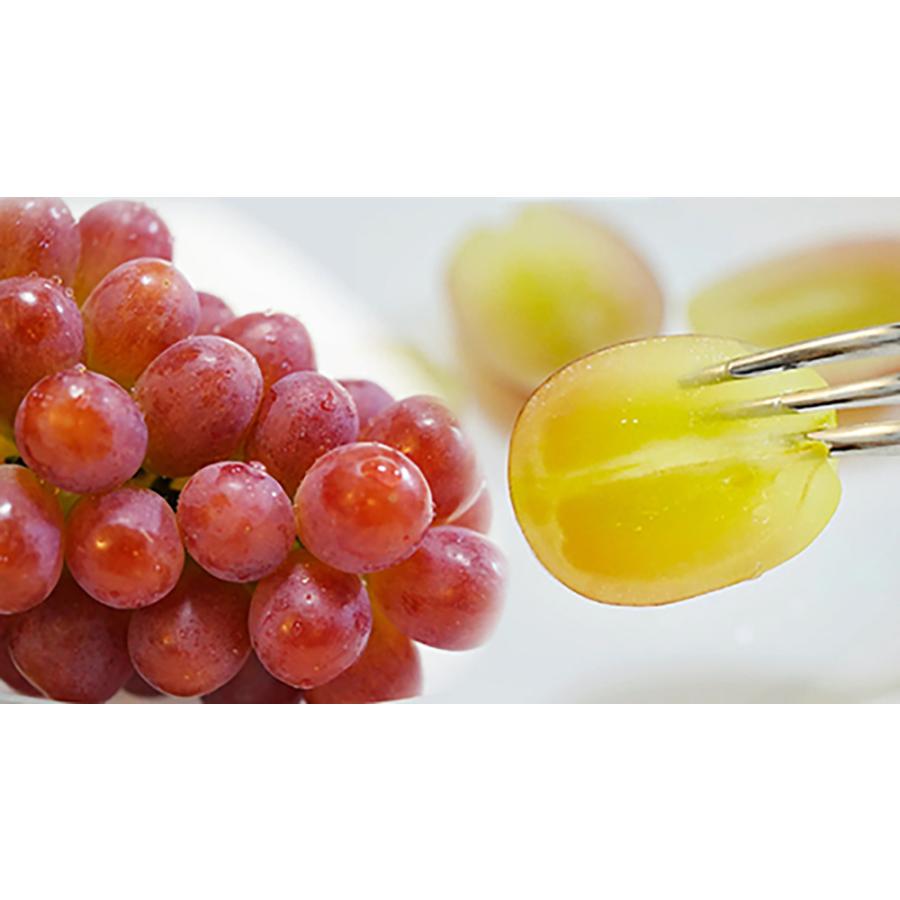 Inakakara 丸山農家 サニードルチェとシャインマスカット 詰め合わせ 2房 1.1kg以上 送料無料 秀品 葡萄 ブドウ ぶどう フルーツ 旬 果物 生産者直送 イナカカラ : G ...