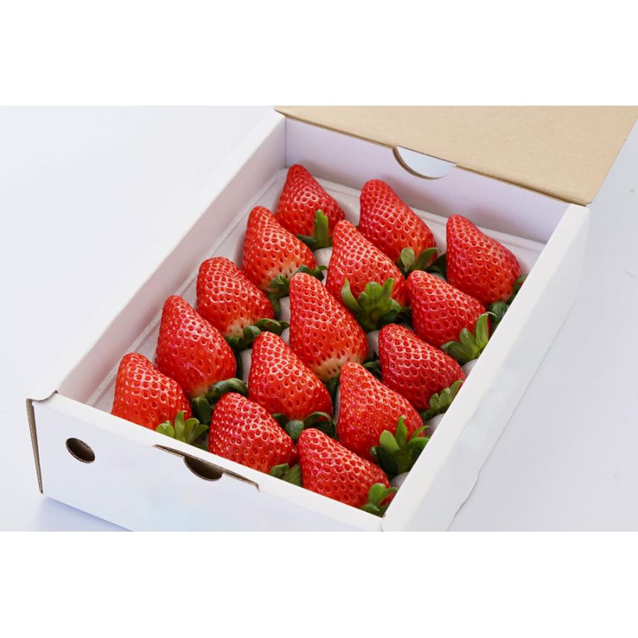 山梨県産 窪田さんの完熟いちご 250g以上 8〜15粒 12月上旬から3月末発送 指定日不可 Inakakara Farm to Table 送料無料 いちご 苺 イチゴ 朝採れ 贈答 産地 ...