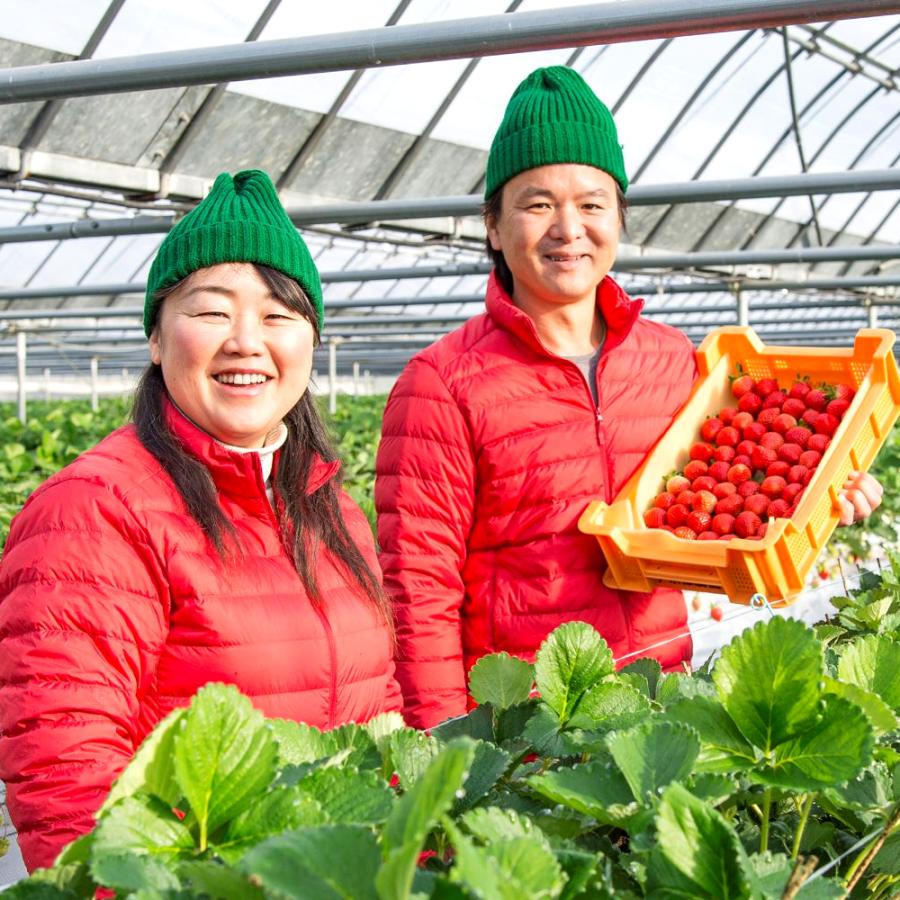 博多あまおうのこだわりアイス 12個 (冷凍便) AH-AB5 北のデリシャス 2025 夏ギフト お中元 ギフト 贈り物 ご家庭用 カップ アイスクリーム スイーツ お取り寄せ : 北の ...