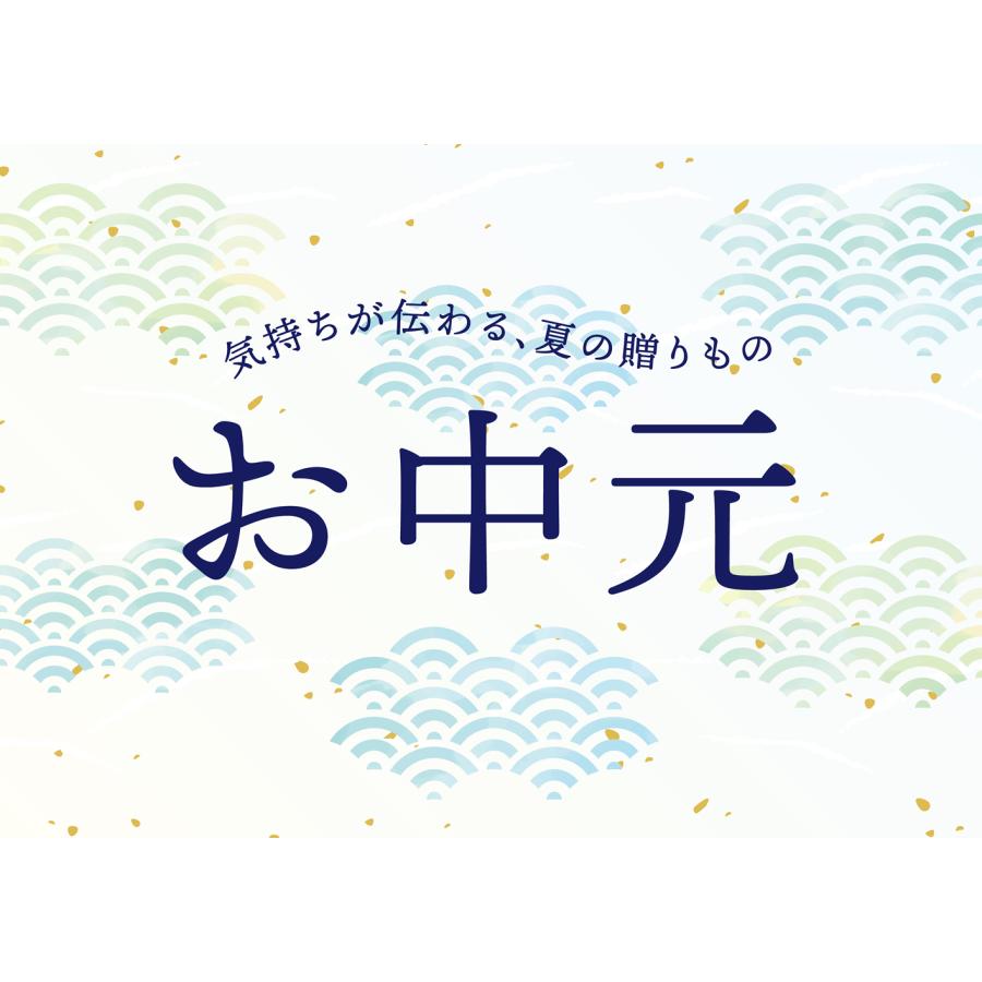 博多あまおうのこだわりアイス 12個 (冷凍便) AH-AB5 北のデリシャス 2025 夏ギフト お中元 ギフト 贈り物 ご家庭用 カップ アイスクリーム スイーツ お取り寄せ : 北の ...