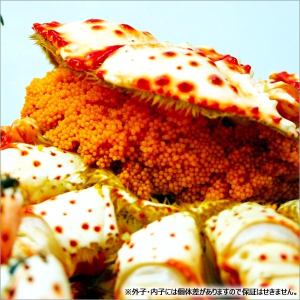 【完売御礼】 カニ 北海道産 花咲ガニ 860g×1尾 (メス子持ち/ボイル冷凍) 限定 ハナサキ 花咲蟹 かにみそ ギフト 贈り物 北海道 グルメ お取り寄せ : 北のデリシャス - 通販 ...