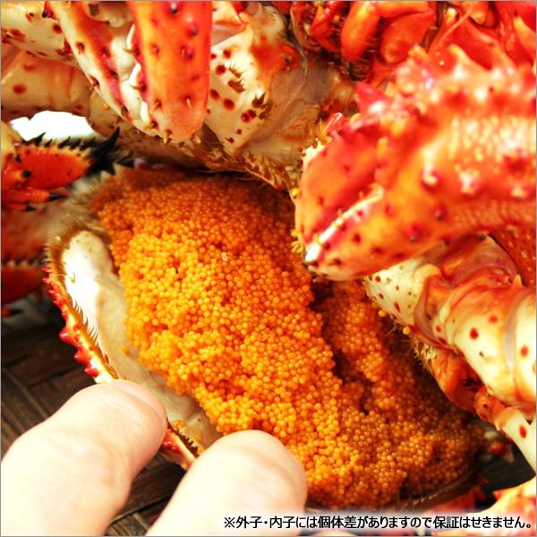 母の日 カニ 北海道産 花咲ガニ 860g×2尾 (メス子持ち/ボイル冷凍) 限定 ハナサキ 花咲蟹 かにみそ ギフト 贈り物 北海道 グルメ お取り寄せ :hn-hanasaki-s-m ...