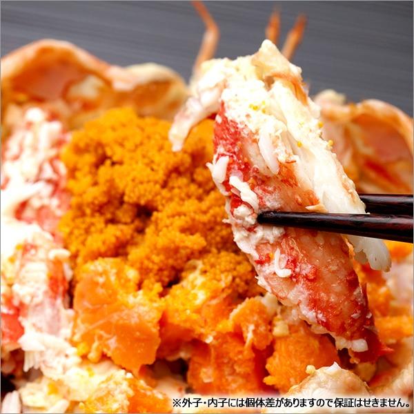 【完売御礼】カニ 北海道産 花咲ガニ 860g×2尾 (メス子持ち/ボイル冷凍) 限定 ハナサキ 花咲蟹 かにみそ ギフト 贈り物 北海道 グルメ お取り寄せ : 北のデリシャス - 通販 ...