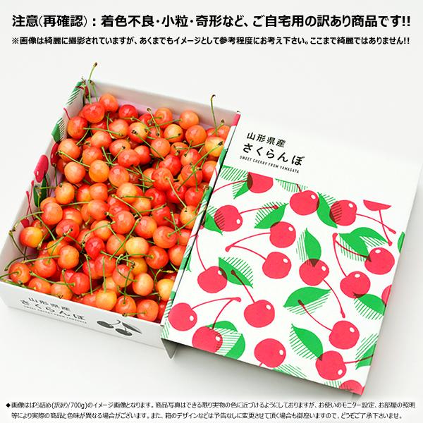 販売終了！ 山形県産 ご家庭用 さくらんぼ 佐藤錦 700g (訳あり/Mサイズ/ばら詰め/クール冷蔵便) 旬 露地 わけあり 自宅用 家庭用 山形県 産地直送 お取り寄せ : yg-rozi ...