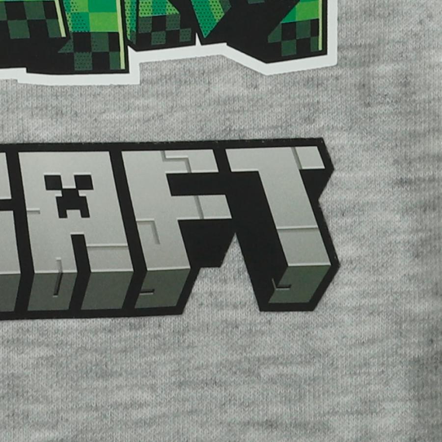 マインクラフト ダンボール クリーパー 上下スーツ スクール 【送料無料】【ks】 :c0899-66259ah:G-passio ジーパッシオ - 通販 - Yahoo!ショッピング