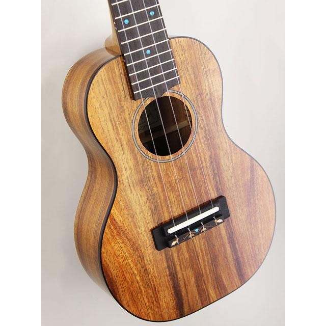 FUJIGEN フジゲン コンサートウクレレ FUS-TC-02 CONCERT UKULELE : G-Store Yahoo!ショッピング店 - 通販 - Yahoo!ショッピング