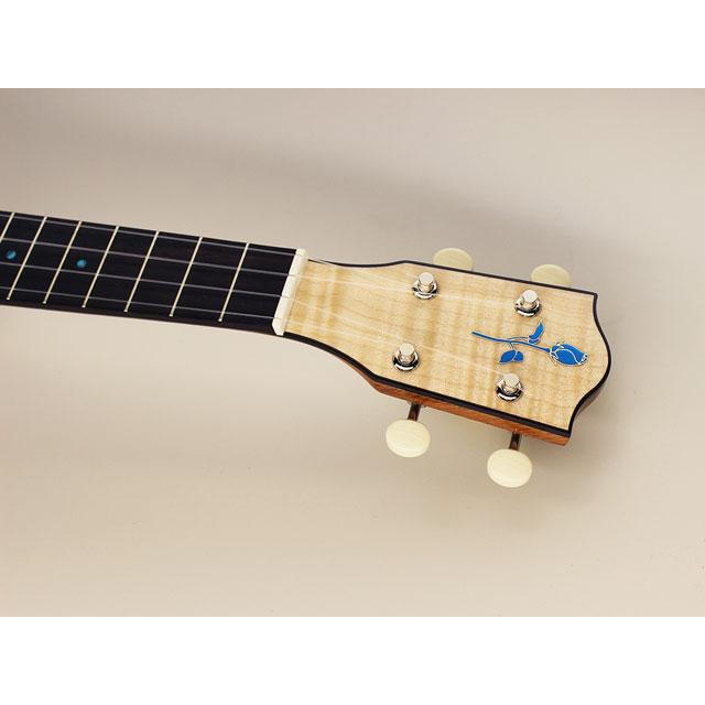 FUJIGEN フジゲン コンサートウクレレ FUS-TC-02 CONCERT UKULELE : G-Store Yahoo!ショッピング店 - 通販 - Yahoo!ショッピング