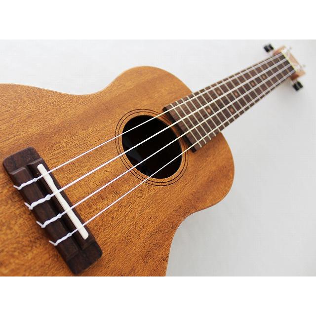 FUJIGEN 【ポイント5倍！14日午前まで！】フジゲン コンサートウクレレ UF-C40-03 ププケア CONCERT UKULELE Pupukea : G-Store Yahoo ...