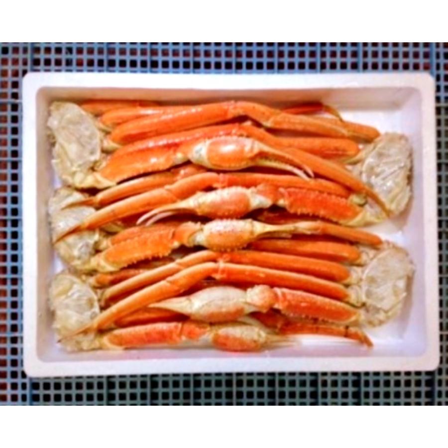 ボイル ズワイガニ セクション 3L 1.5kg (5〜6肩） : 極うま特撰市場 - 通販 - Yahoo!ショッピング