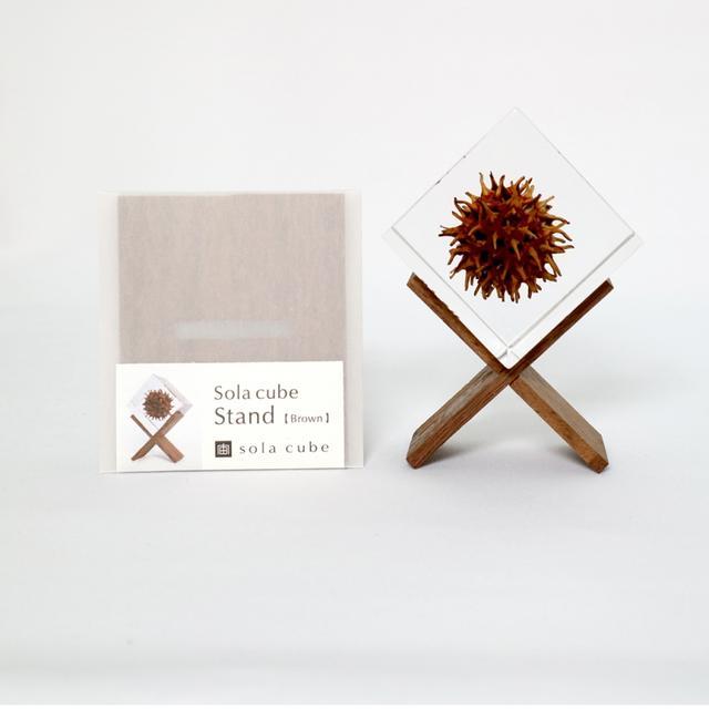 sola cube stand (brown/white) ディスプレイ用スタンド Sola : 銀座 蔦屋書店 - 通販 - Yahoo!ショッピング