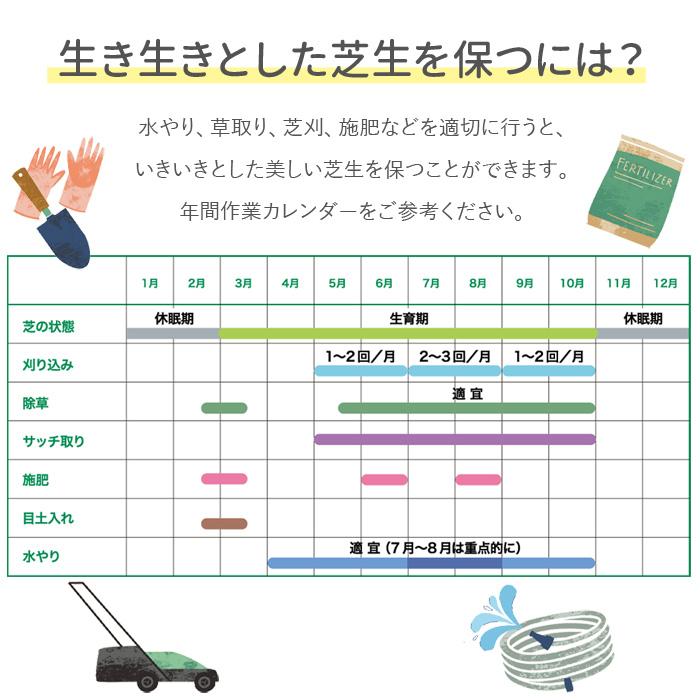 [クール便出荷] NITTOSEKKO 高級天然芝 NT22 ロール 2平米分 天然芝 省管理 高麗芝 改良高麗芝 芝生 芝 品種改良 国産 : GA-PRO+ - 通販 - Yahoo!ショッピング