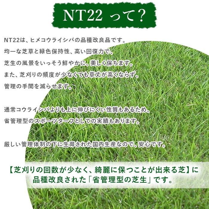 [クール便出荷] NITTOSEKKO 高級天然芝 NT22 ロール 2平米分 天然芝 省管理 高麗芝 改良高麗芝 芝生 芝 品種改良 国産 : GA-PRO+ - 通販 - Yahoo!ショッピング