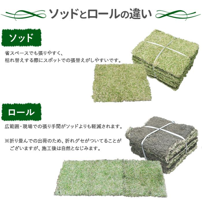 [クール便出荷] NITTOSEKKO 高級天然芝 NT22 ロール 2平米分 天然芝 省管理 高麗芝 改良高麗芝 芝生 芝 品種改良 国産 : GA-PRO+ - 通販 - Yahoo!ショッピング