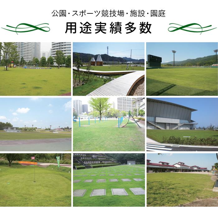 [クール便出荷] NITTOSEKKO 高級天然芝 NT22 ロール 10平米分 天然芝 省管理 高麗芝 改良高麗芝 芝生 芝 品種改良 国産 : GA-PRO+ - 通販 - Yahoo ...