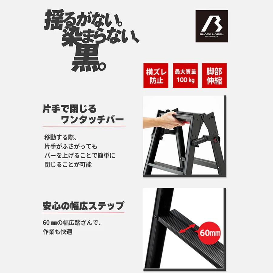 長谷川工業 1000円クーポン付 はしご RYZB 30 W82~88 × D170~187 (cm) 15.4kg 長さ2.82~3.13 m 最大質量：100kg ブラックレーベル ...