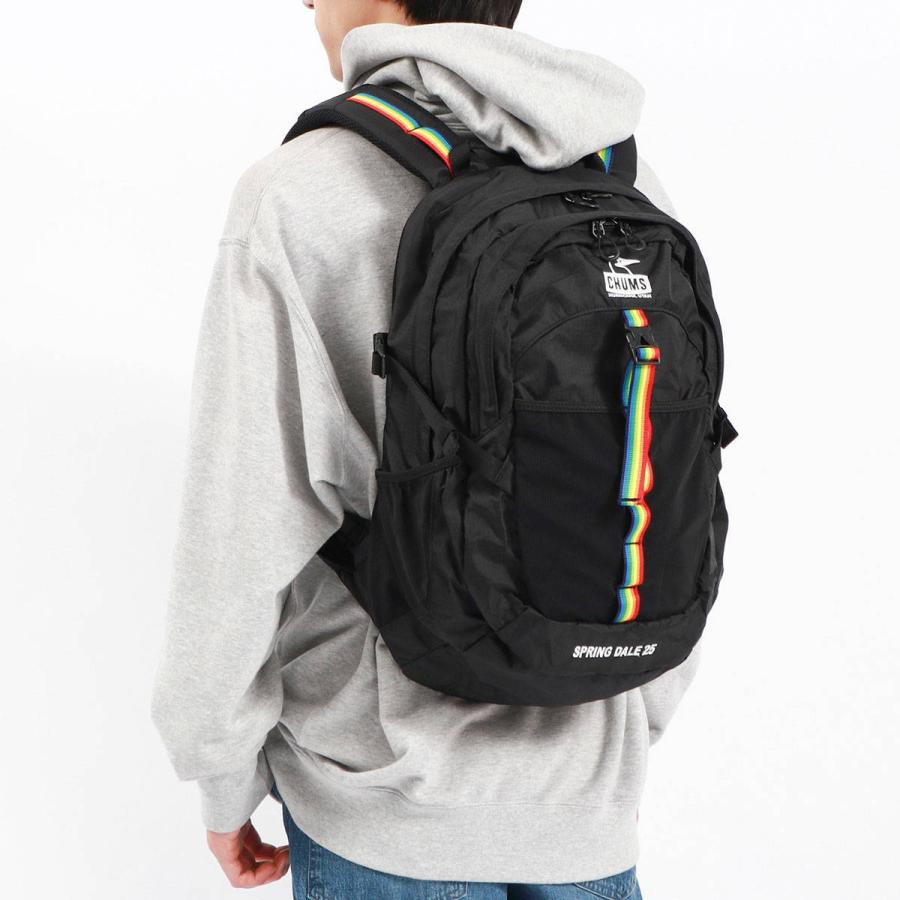 日本正規品 チャムス リュック CHUMS スプリングデール25リットル Spring Dale 25L A4 2WAY キャンプ 登山 メンズ レディース CH60-3548 ...