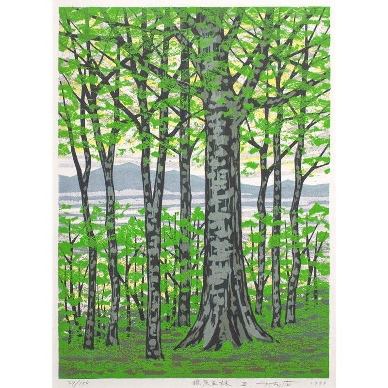 藤田不美夫 「 ブナ原生林 III」 木版画 版画 絵画 自然 緑 風景 縦 送料無料 : 内田画廊 - 通販 - Yahoo!ショッピング