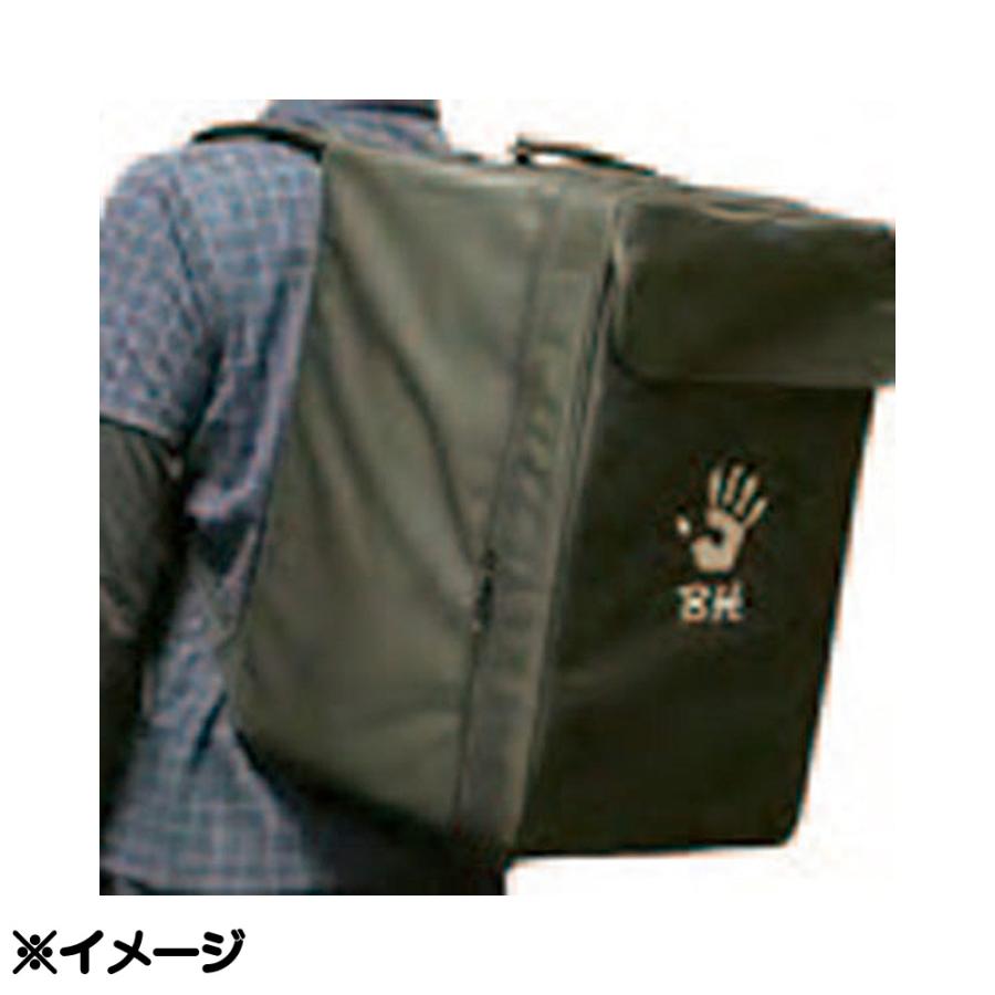 収納ケース付き ボスハンズ LEDカホン BOTH HANDS Cajon Lighting LED BHC-R03 : G&G MUSIC HOTLINE - 通販 - Yahoo!ショッピング