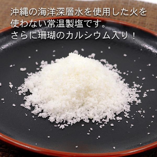 珊瑚の塩 370g /サンゴの塩 沖縄の塩 垣乃花 : 沖縄健康市場 - 通販 - Yahoo!ショッピング