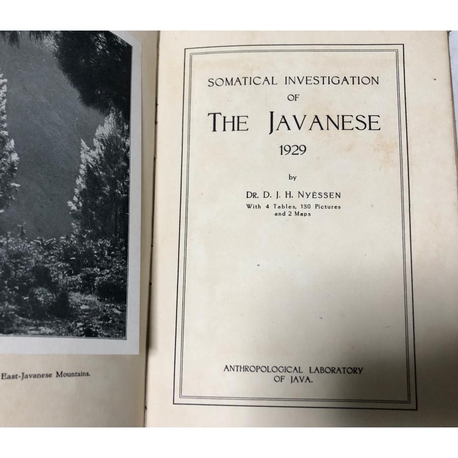 Somatical investigation of the Javanese 1929 ジャワ人の体格調査研究 （英文）127P ジャワ刊 ...