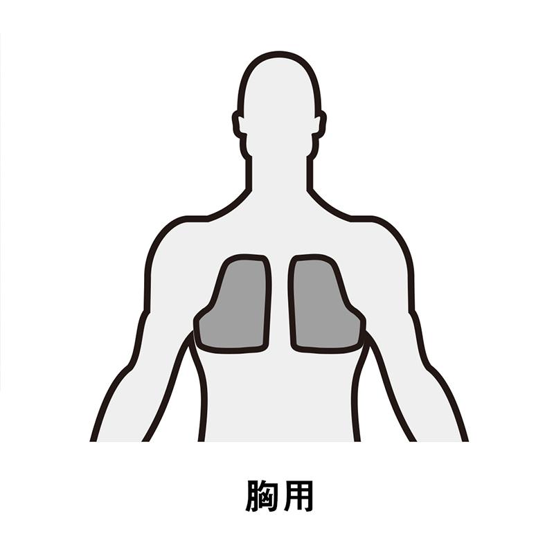 デグナー PS-18 CEレベル2 エアスルーチェストプロテクター 胸 DEGNER PS18 プロテクター : degner-ps18 : Garage R30 - 通販 - Yahoo ...