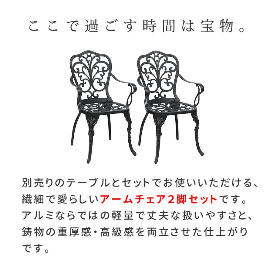 アルミ製アームチェア 2脚セット 「トルペ」 BKS-C5289-2P : ガーデニング工房 Y!店 - 通販 - Yahoo!ショッピング