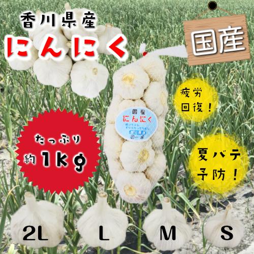 送料無料 期間限定！！ L〜3L 10kg 生ニンニク 量り売り にんにく ガーリック 香川県産 嘉定種 上海早生 : ガーデン ストーリー - 通販 - Yahoo!ショッピング