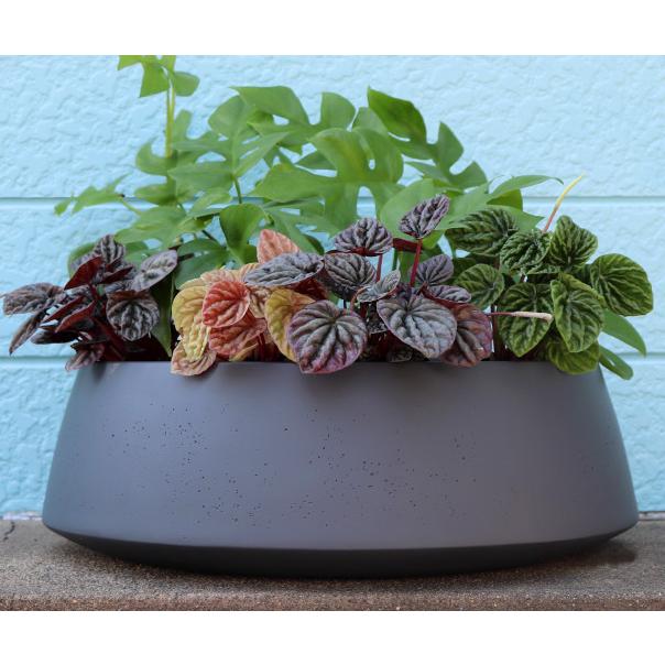 ローフレアー アーバン アスファルト φ47cm H15cm GFRP製 浅鉢 植木鉢 おしゃれ 樹脂 屋外 盆栽 鉢植え 丸 軽い 室内 寄せ植え マリンファイバープランター : ガーデン ...