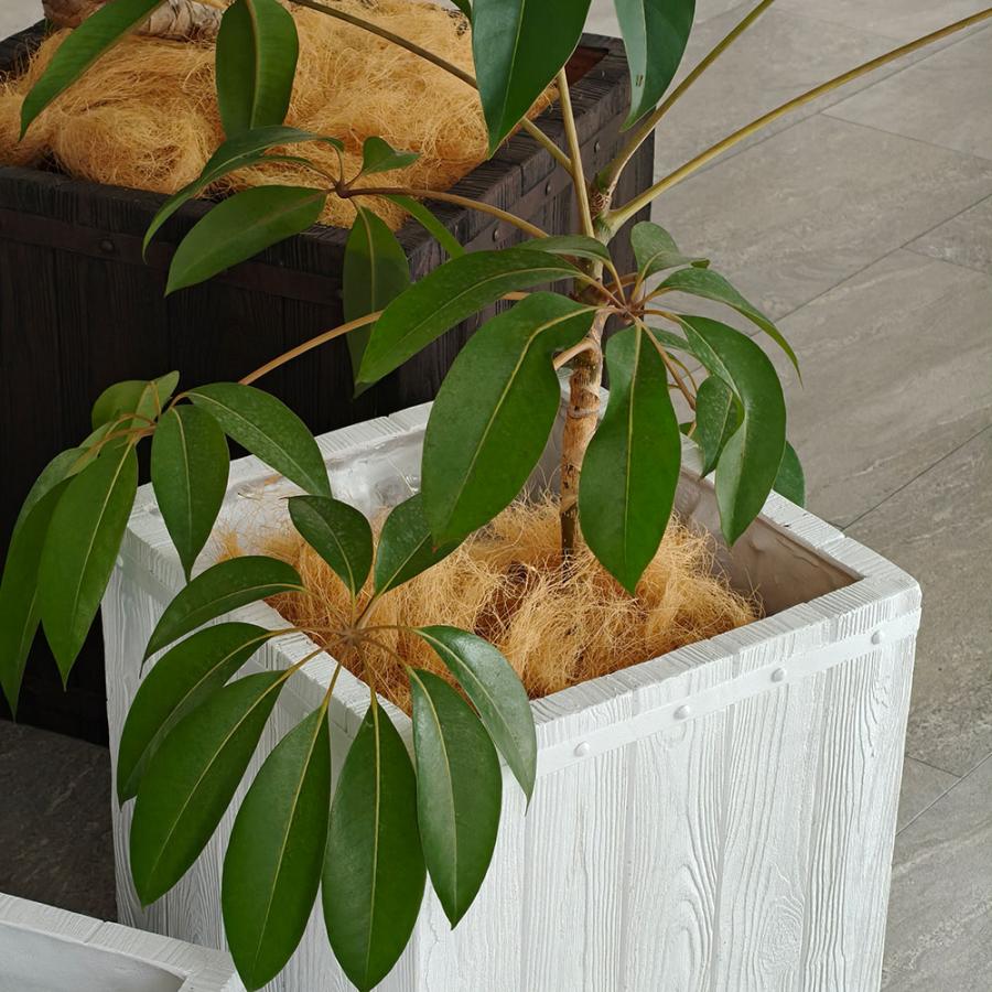 「FARBOR」 ファーバー 木調FRPプランター 幅40 (角型) E002-CU400 : ガーデニングどっとコムYahoo!店 - 通販 ...