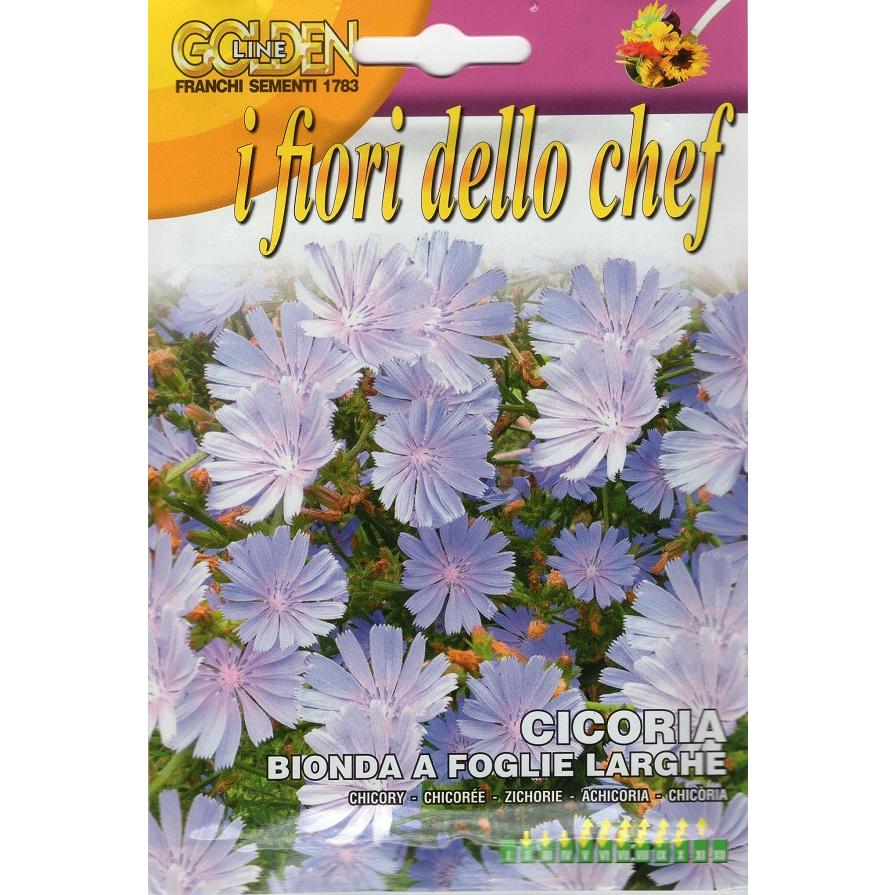 種子 FRANCHI SEMENTI GOLDENLINE CICORIA bionda a foglie larghe エディブルフラワー ...